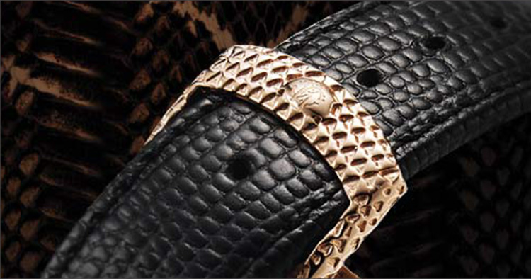 Roberto Cavalli by FRANCK MULLER(ロベルト カヴァリ by Roberto Cavalli by FRANCK MULLER(ロベルト カヴァリ by
